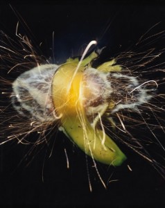 Fallen Fruit’s Yearlong Project Concludes with Let them Eat LACMA on Sunday