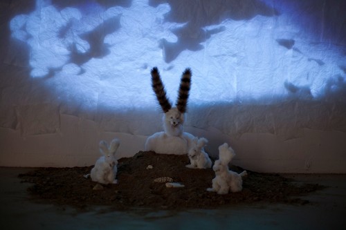 Photo Gallery: ‘Dodecahedron’ Exhibit Features Works of 12 Experimental ...