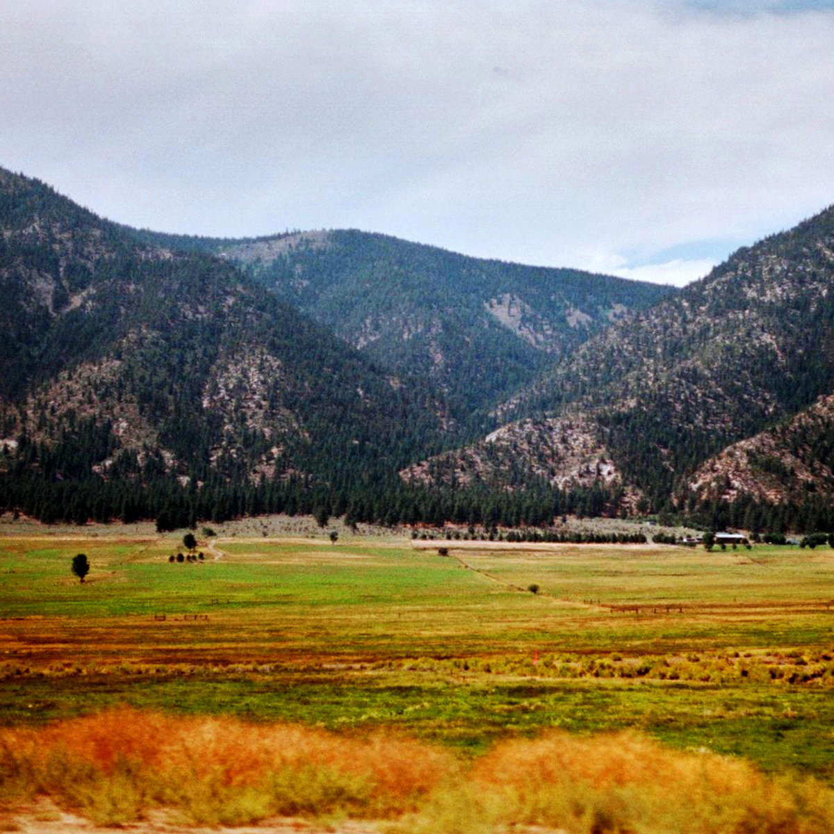 CalArts Alum Tim Carr Releases Debut Album